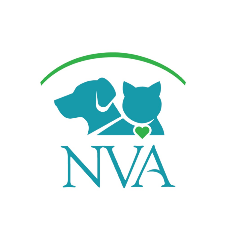 Treasury Services for National Veterinary Association — Elire Consulting