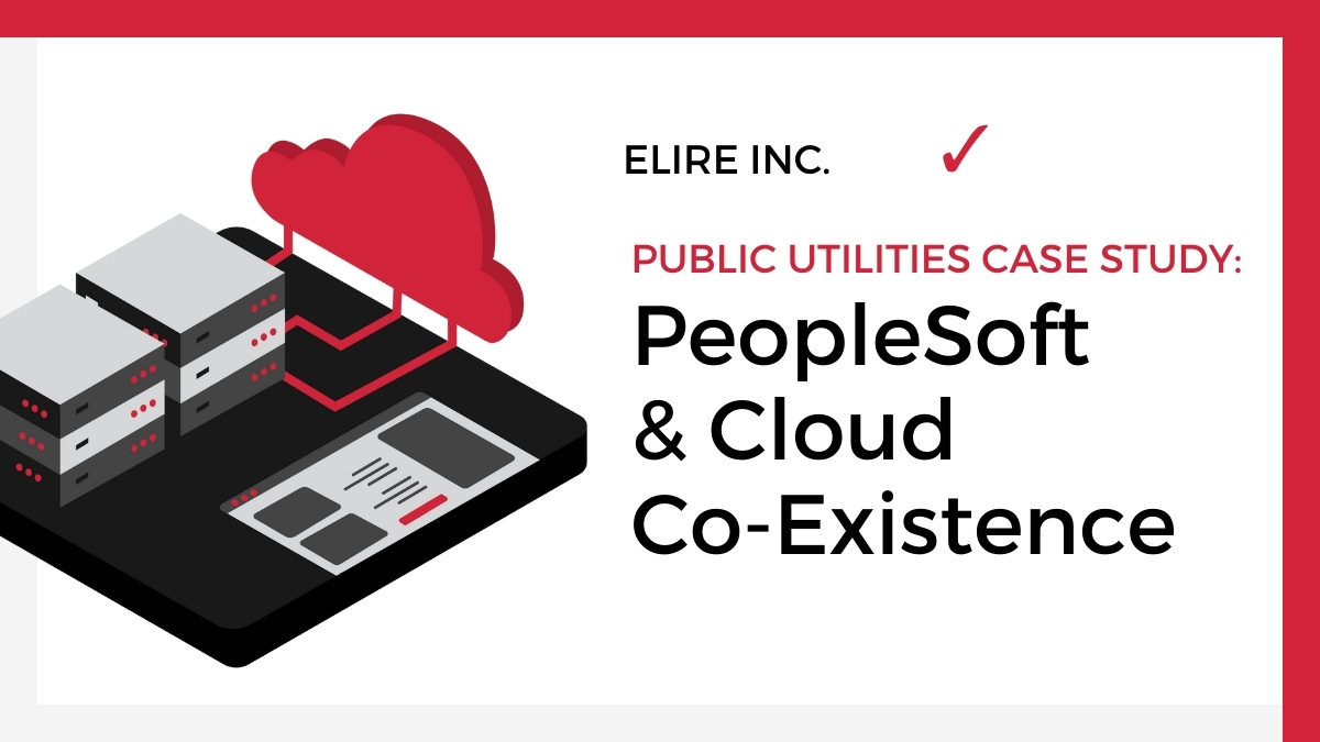 Case Study: Public Utilities — Elire Consulting